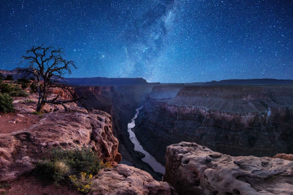 5 Reasons to Visit Grand Canyon in Springtime | Grand Canyon