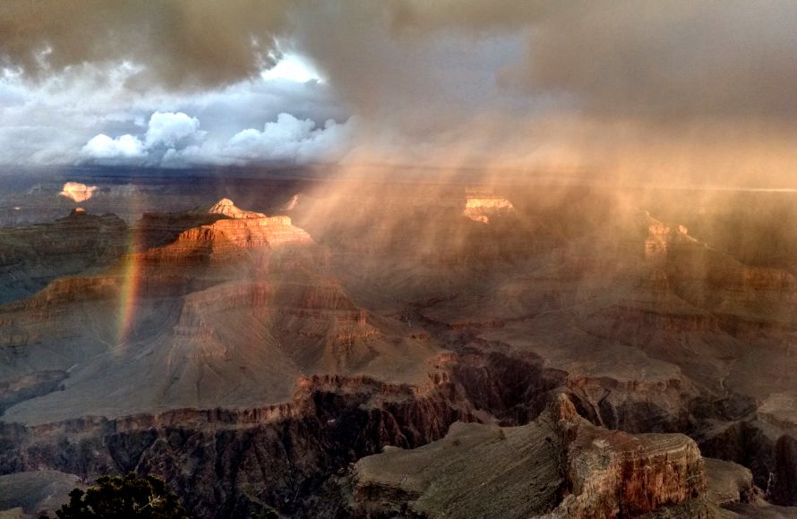 Sustainability | Grand Canyon National Park Lodges